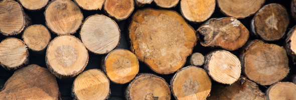 What Type are you? The 5 elements. | The Yinova Center