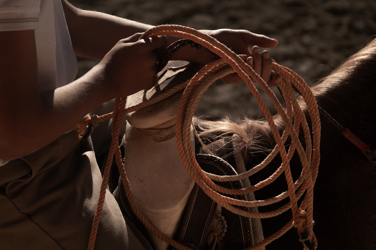 Riding the Fire Horse: Navigating the Year Ahead With Intention | The ...